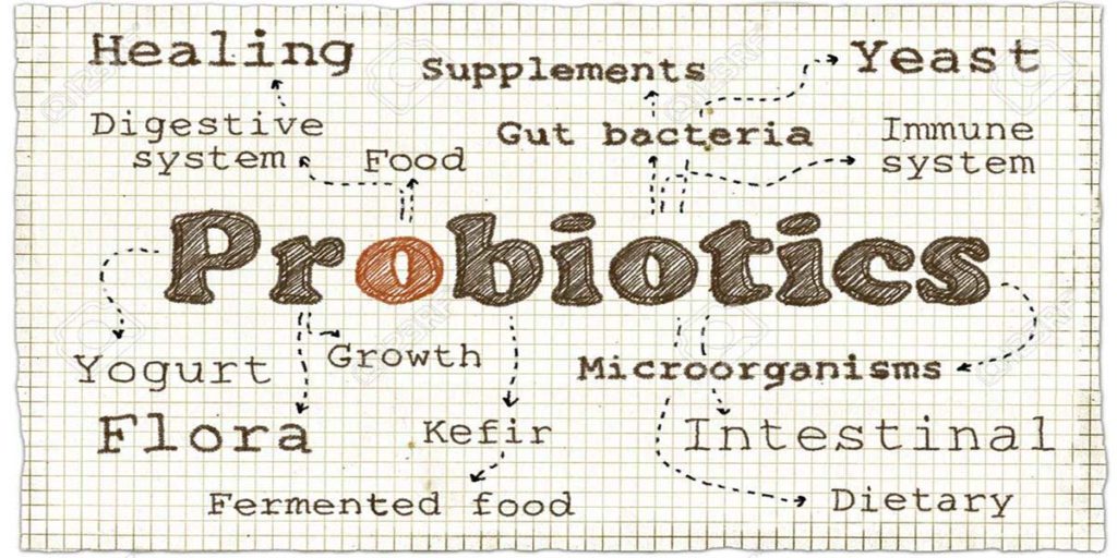Probiotics - Tiny Organisms With Huge Benefits - Reliance Vitamin