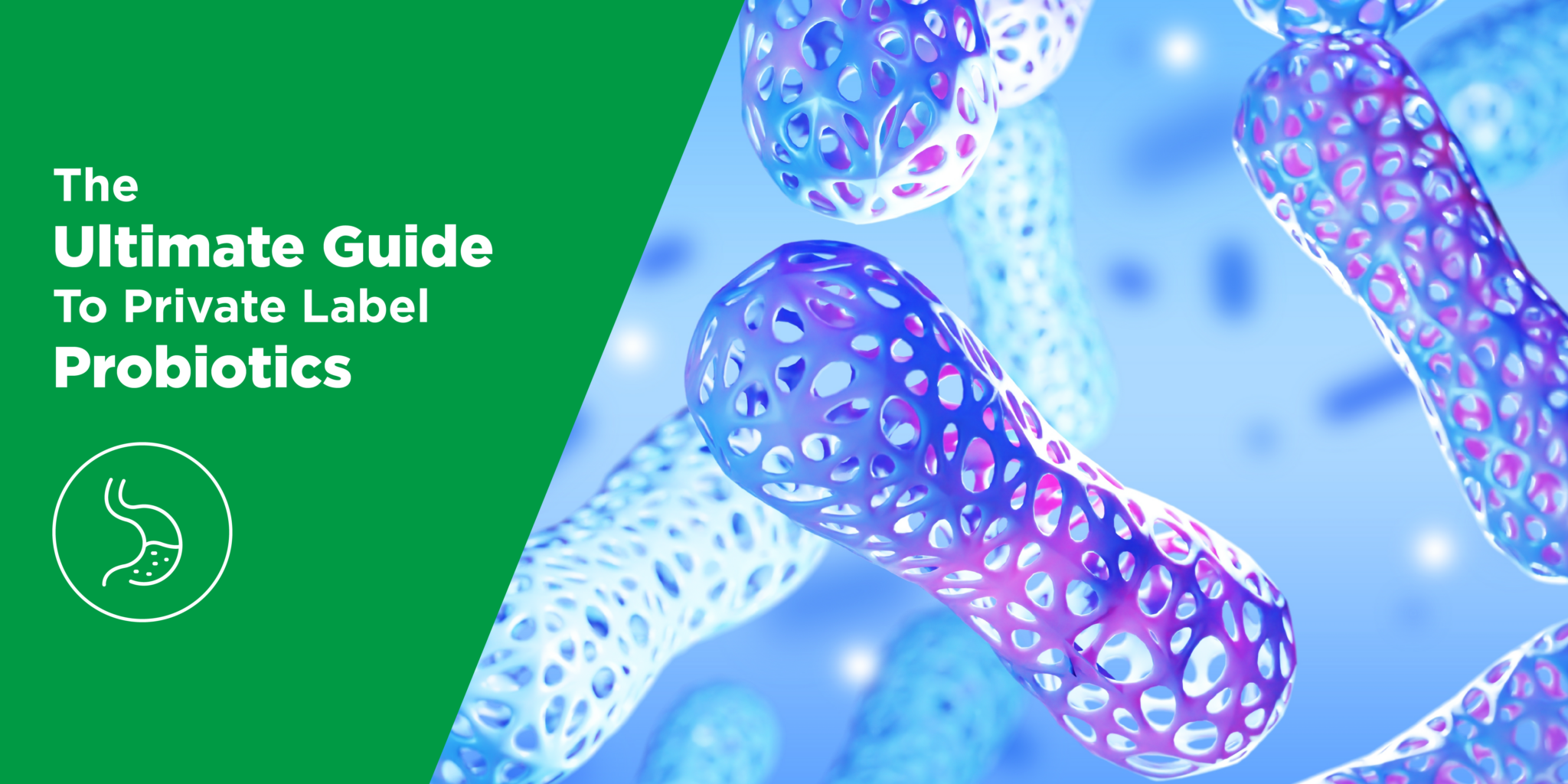 Probiotics - Tiny Organisms With Huge Benefits - Reliance Vitamin